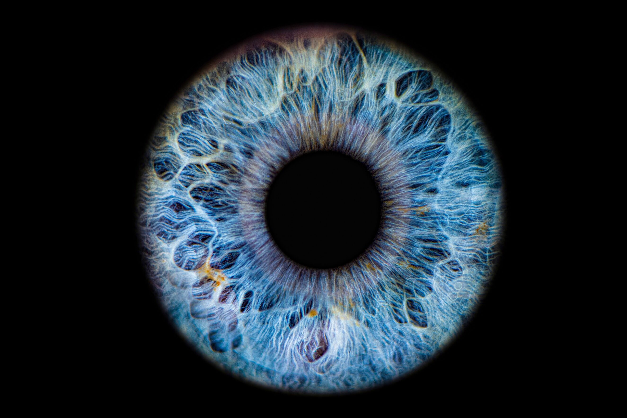 Retina Specialist | Retinal Conditions | Kentucky Eye Institute